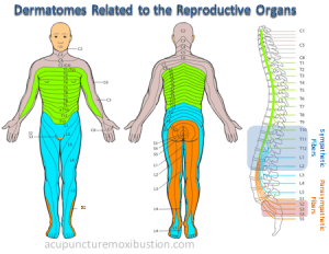 Fertility Acupuncture Points