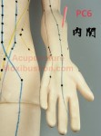 Acupuncture Points